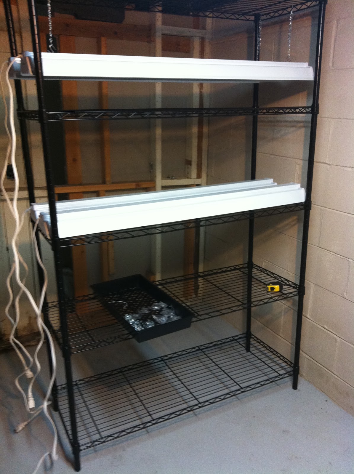 break into blossom: jump starting spring: seed starting station