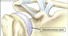 What is shoulder injuries/Acromioclavicular ( Acj)joint injury - Health ...