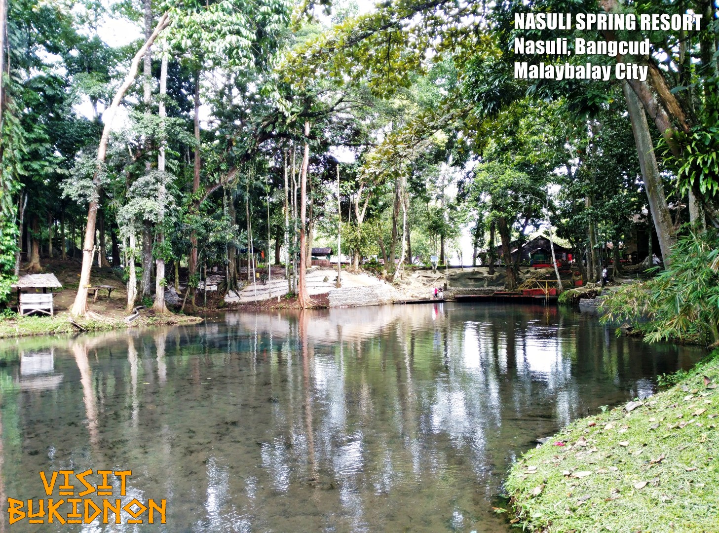 BUKIDNON UNLIMITED: NASULI SPRING RESORT