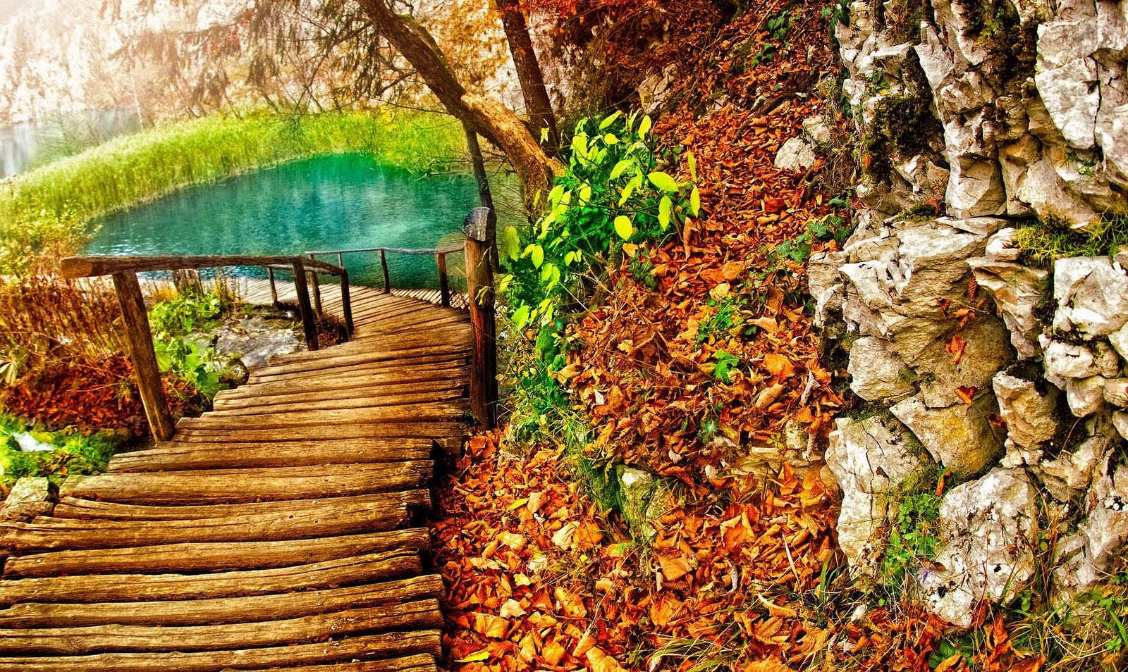 HD WALLPAPER: Nature HQ Wallpaper Set 5