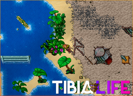 #SU19 Artigo do Mês/Teaser 2: Bem-vindos a Kilmaresh - Tibia Life
