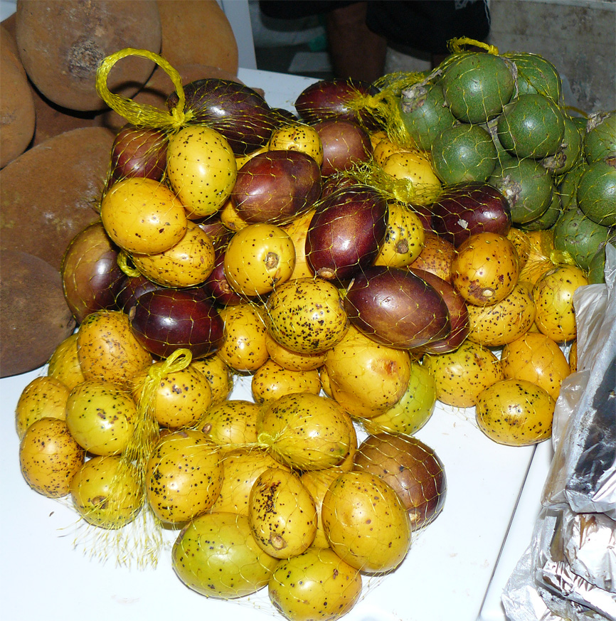 FRUTAS NATIVAS DA AMAZÔNIA: FRUTOS NATIVOS DA AMAZÔNIA COMERCIALIZADOS ...