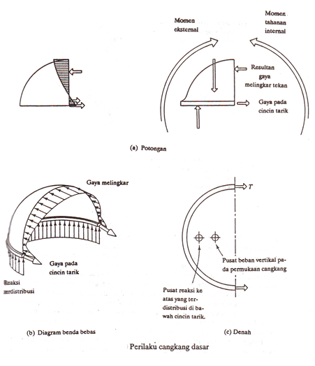 Struktur Cangkang - Bijeh Team
