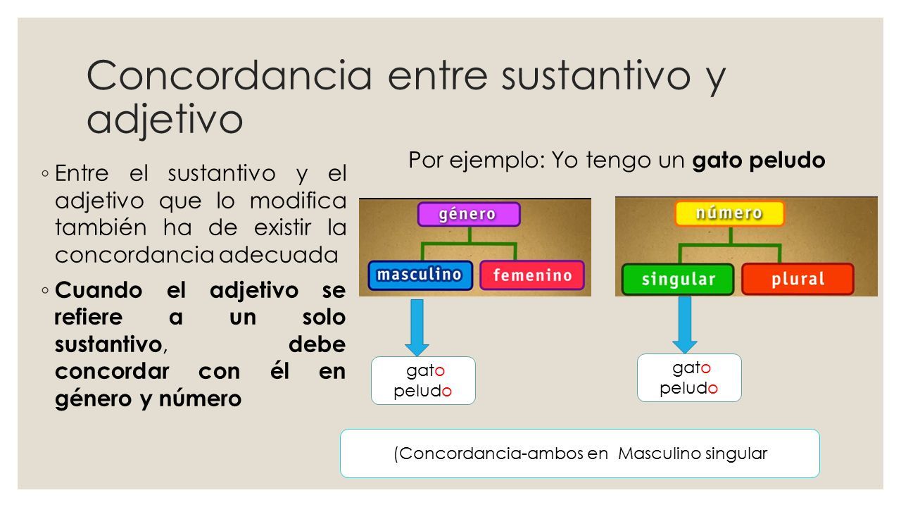 6º CEO ENLACES Lengua: abril 2020