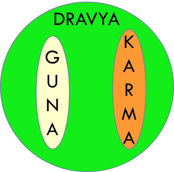 13. DRAVYA