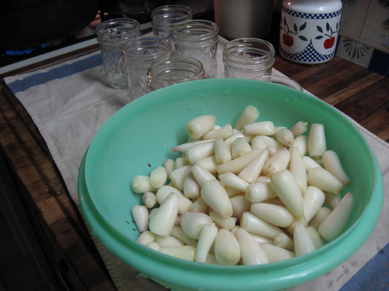 Pickled Wild Leeks