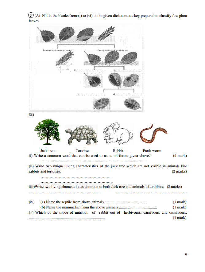Ruwanwella Royal College Lessons Gallery: Grade 6- science
