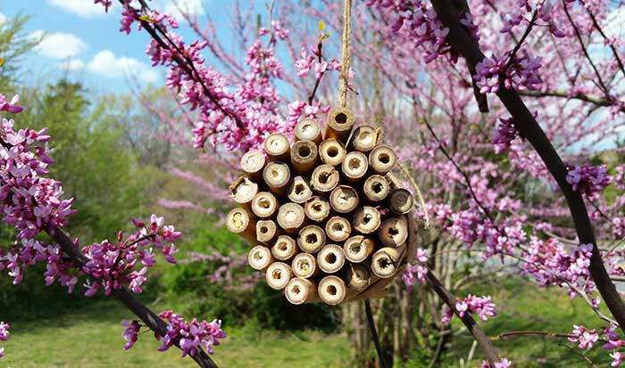 How to Make Bee House DIY - Koti Beth