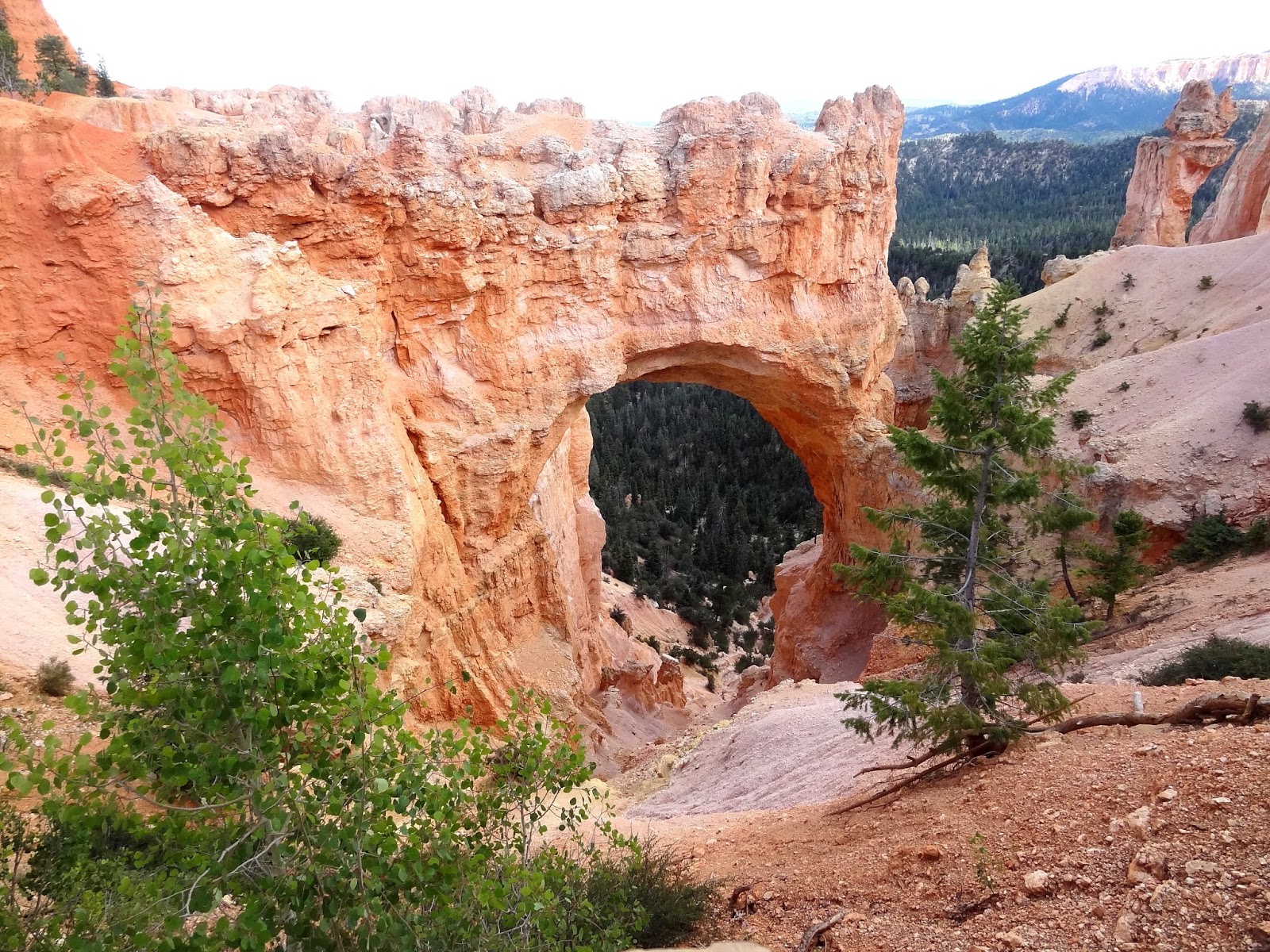 Live and Learn-Toss and Turn: Utah Vacation--Day 5, Bryce