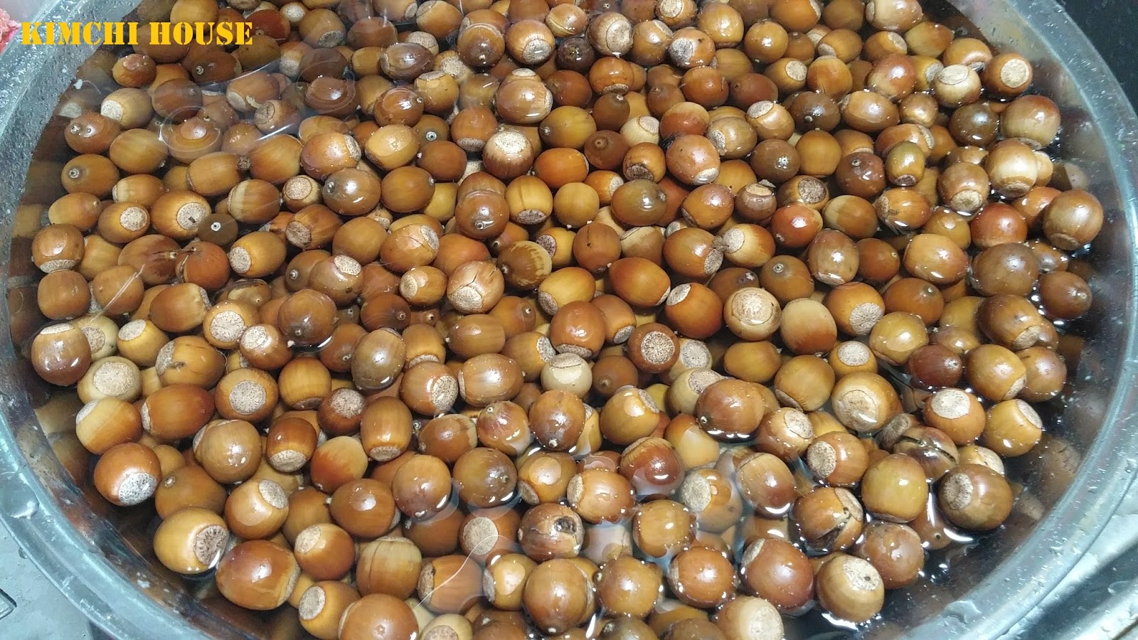 Kimchi House: Homemade "Dotorimuk"(Acorn Jelly)/橡子凉粉/도토리묵