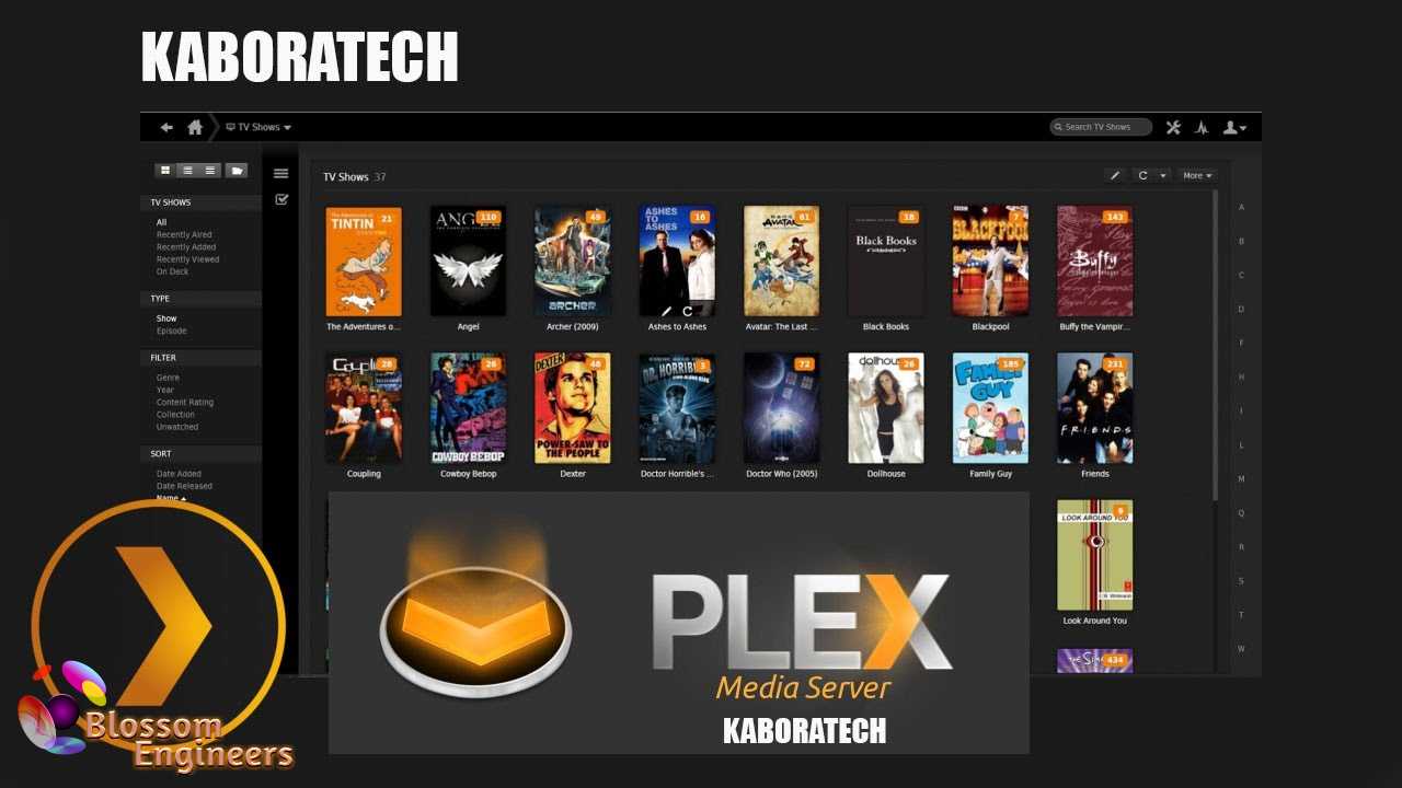 Plex Media Server Overview