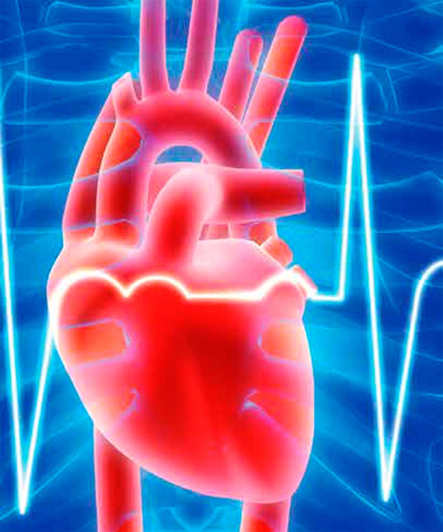 Conoce los efectos de la electricidad en el cuerpo humano ...