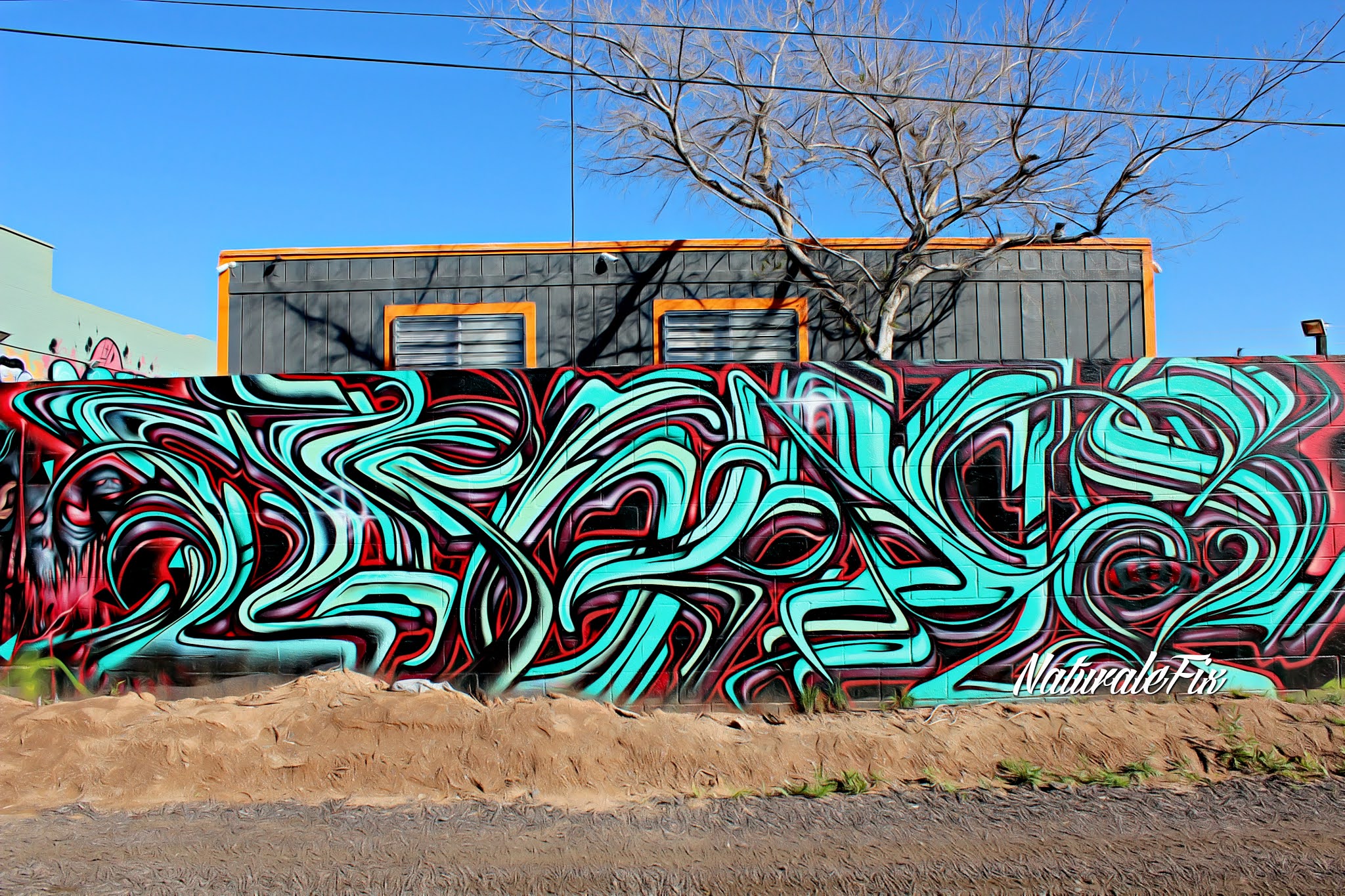 NaturaleFix Magazine Scarce Elementz Crew naturalefix-magazine-scarce-elementz-crew