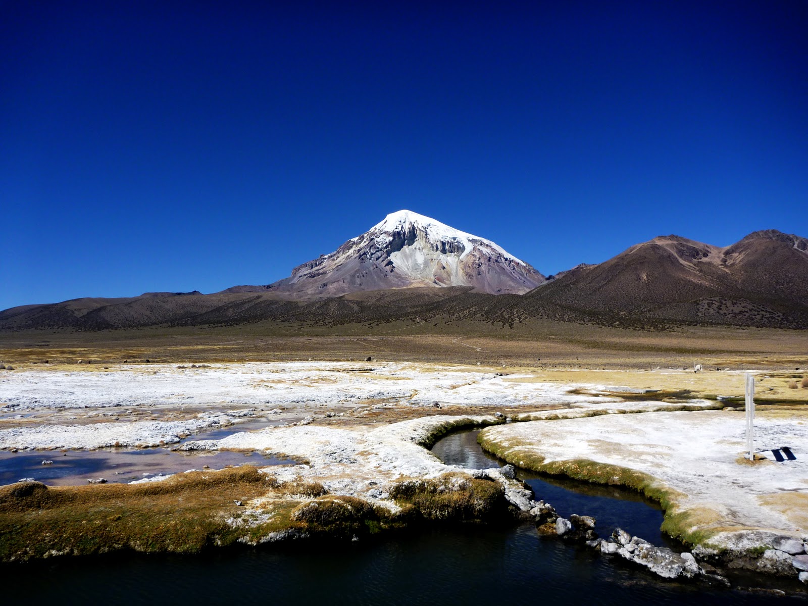 solo para ver: Parque Sajama Bolivia