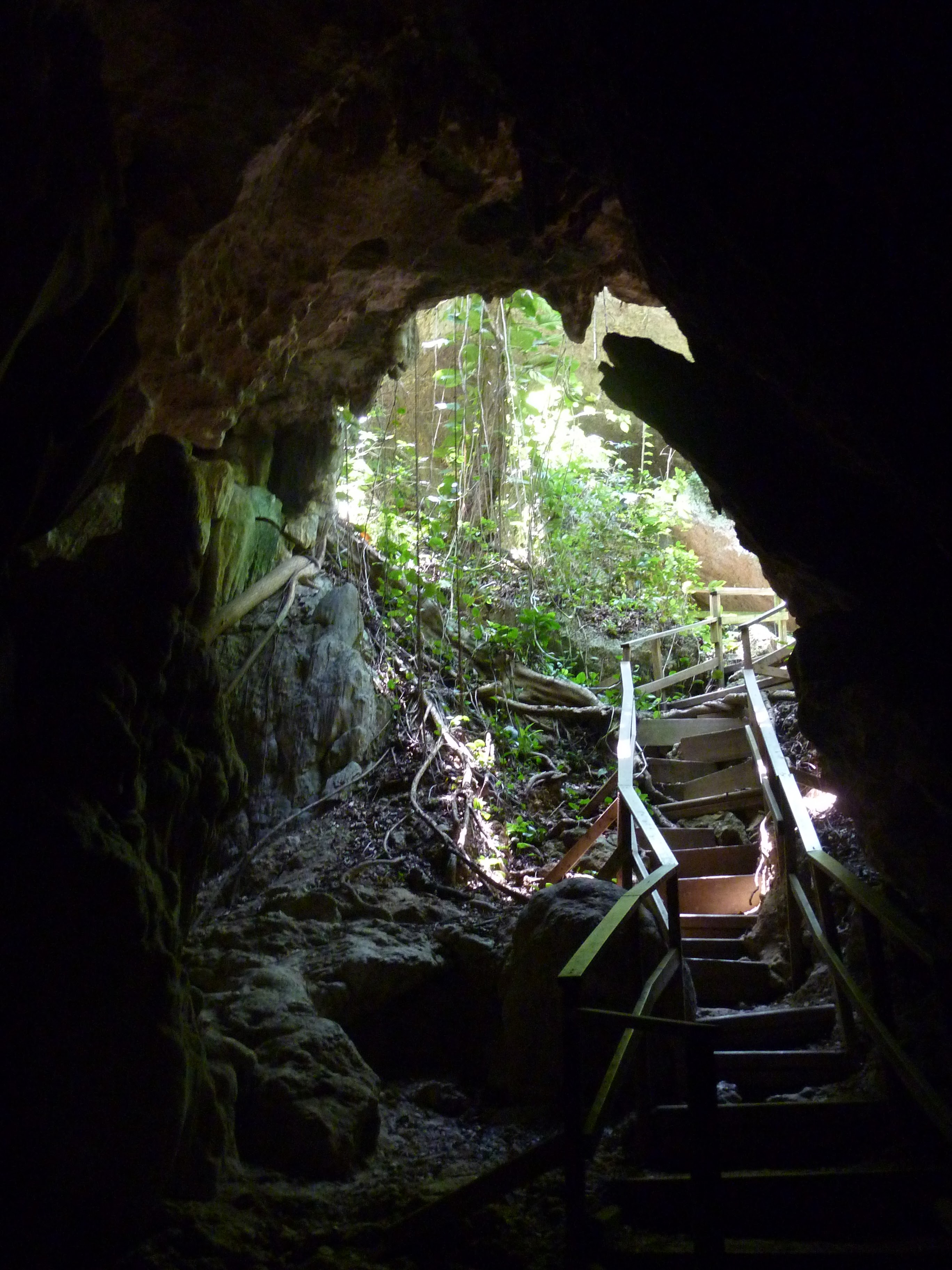 Observations of the Practical Kind: Cueva Ventana: The Window Cave