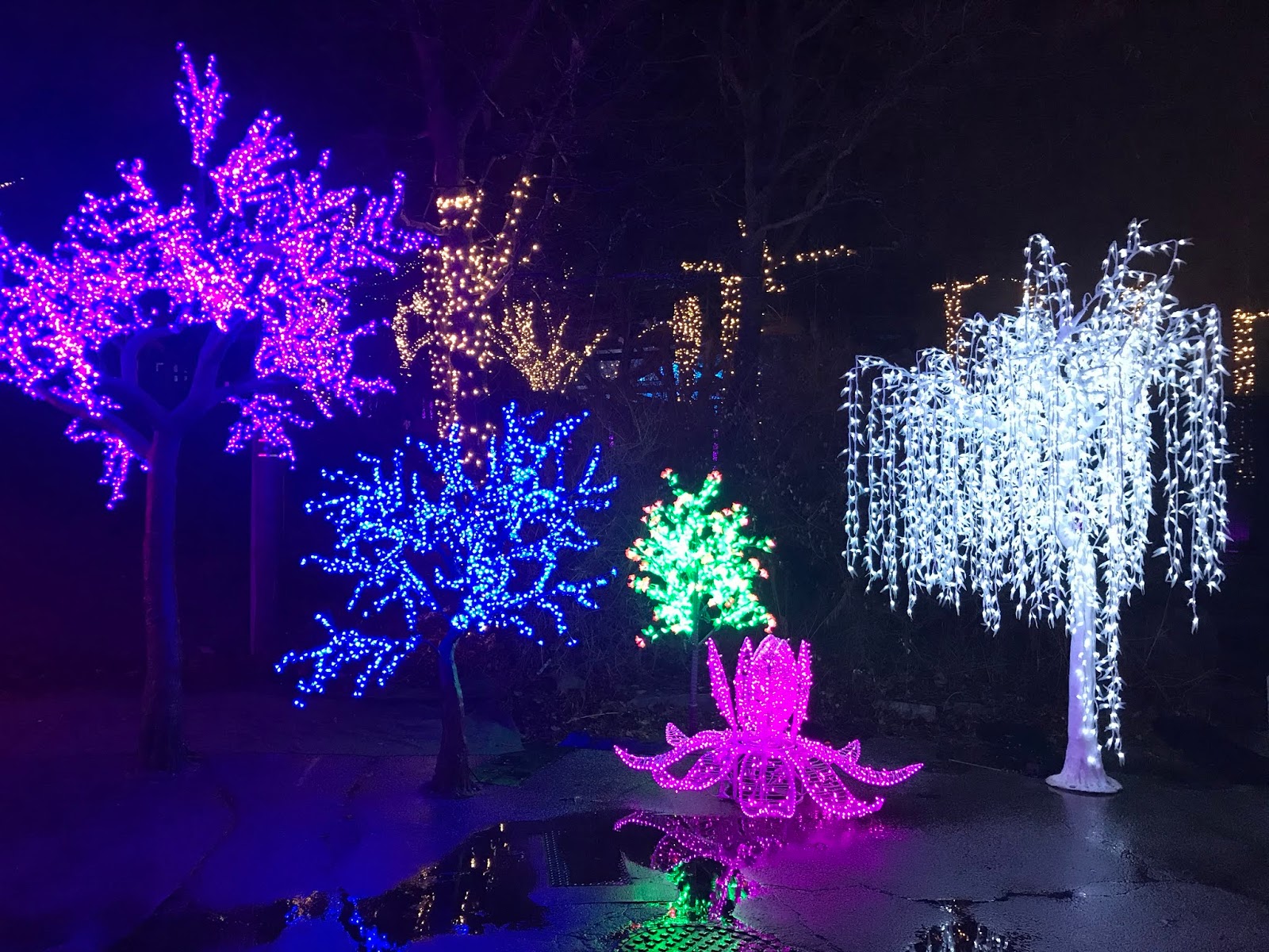 Create With Mom: Aurora Winter Festival in Toronto