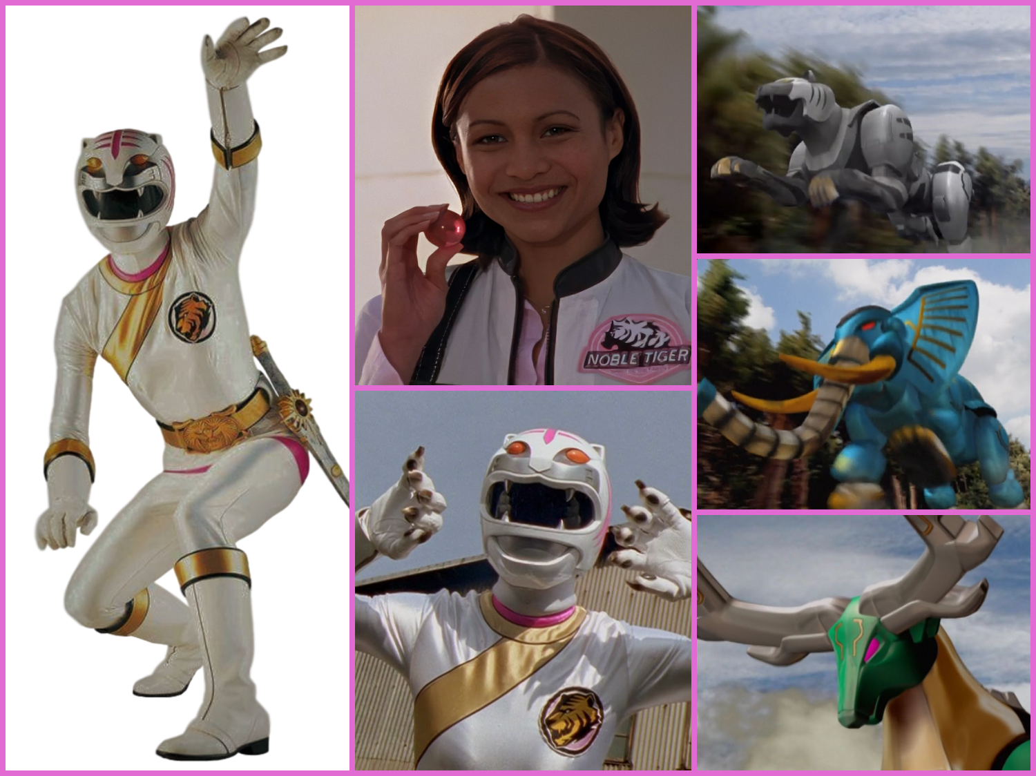 Os Rangers e os Zords de “Power Rangers Wild Force”