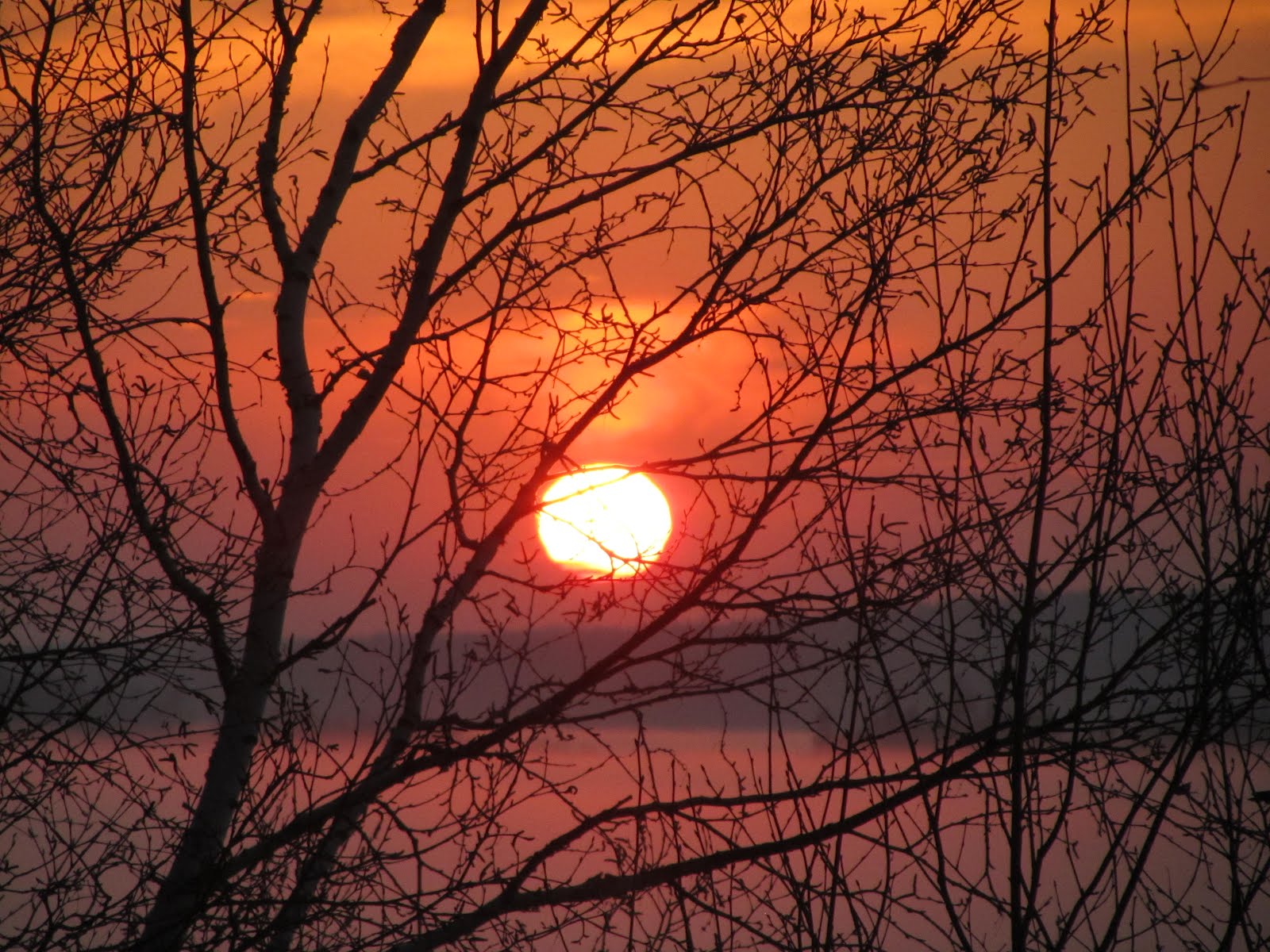 Chez Zoreilles: La couleur du matin