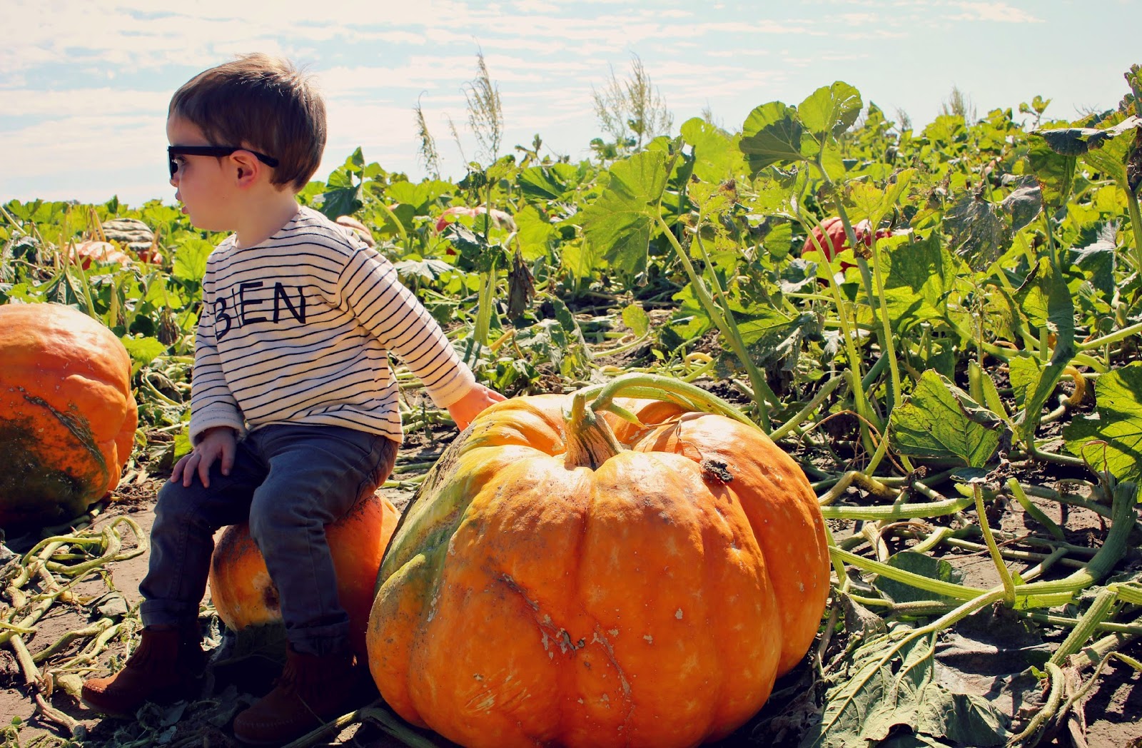 Nuestra Vida Dulce: Day of the Dead Decorations + Pumpkin Patch Adventures