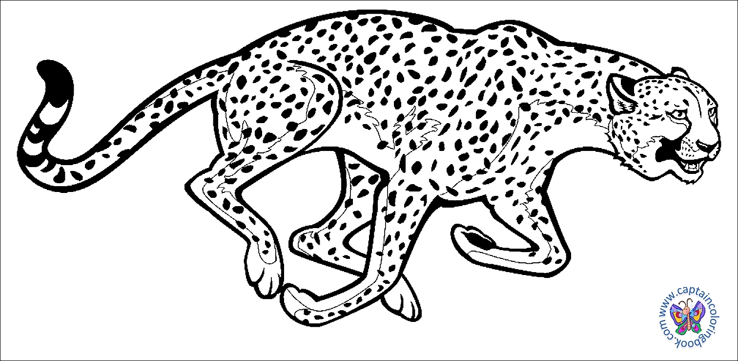 Coloring book pdf download