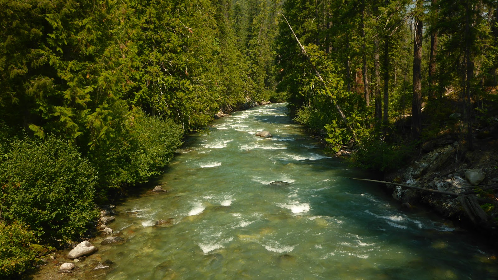 Creek Sides: Agnes Creek - North Cascades, WA