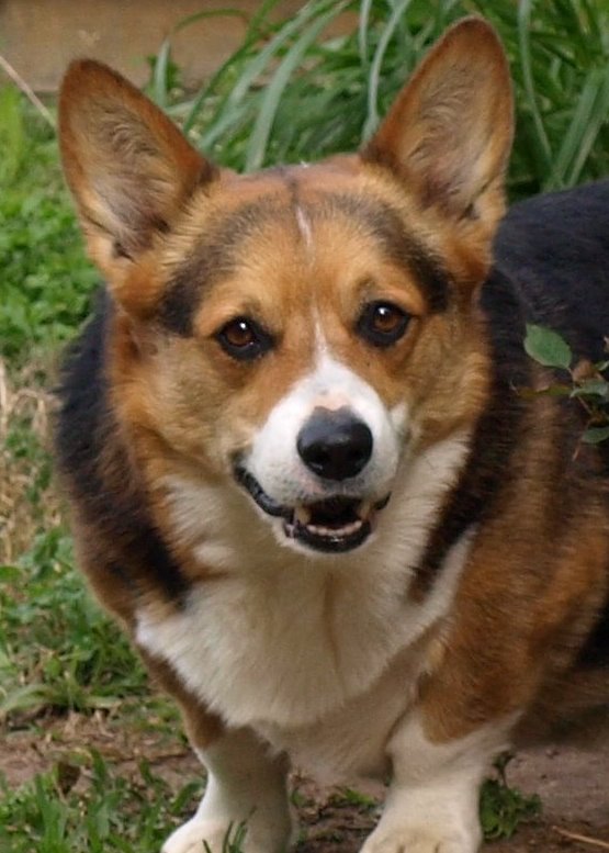 Beth Larkin - Paintings: 2017