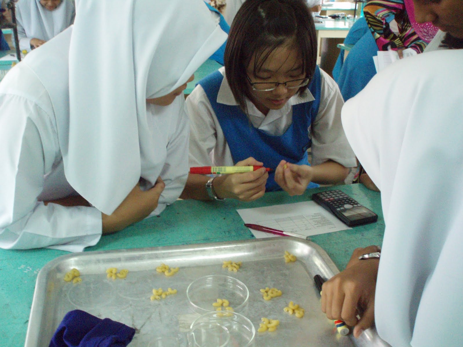 poonchengmoh: CAPTURE, MARK, RELEASE & RECAPTURE METHOD