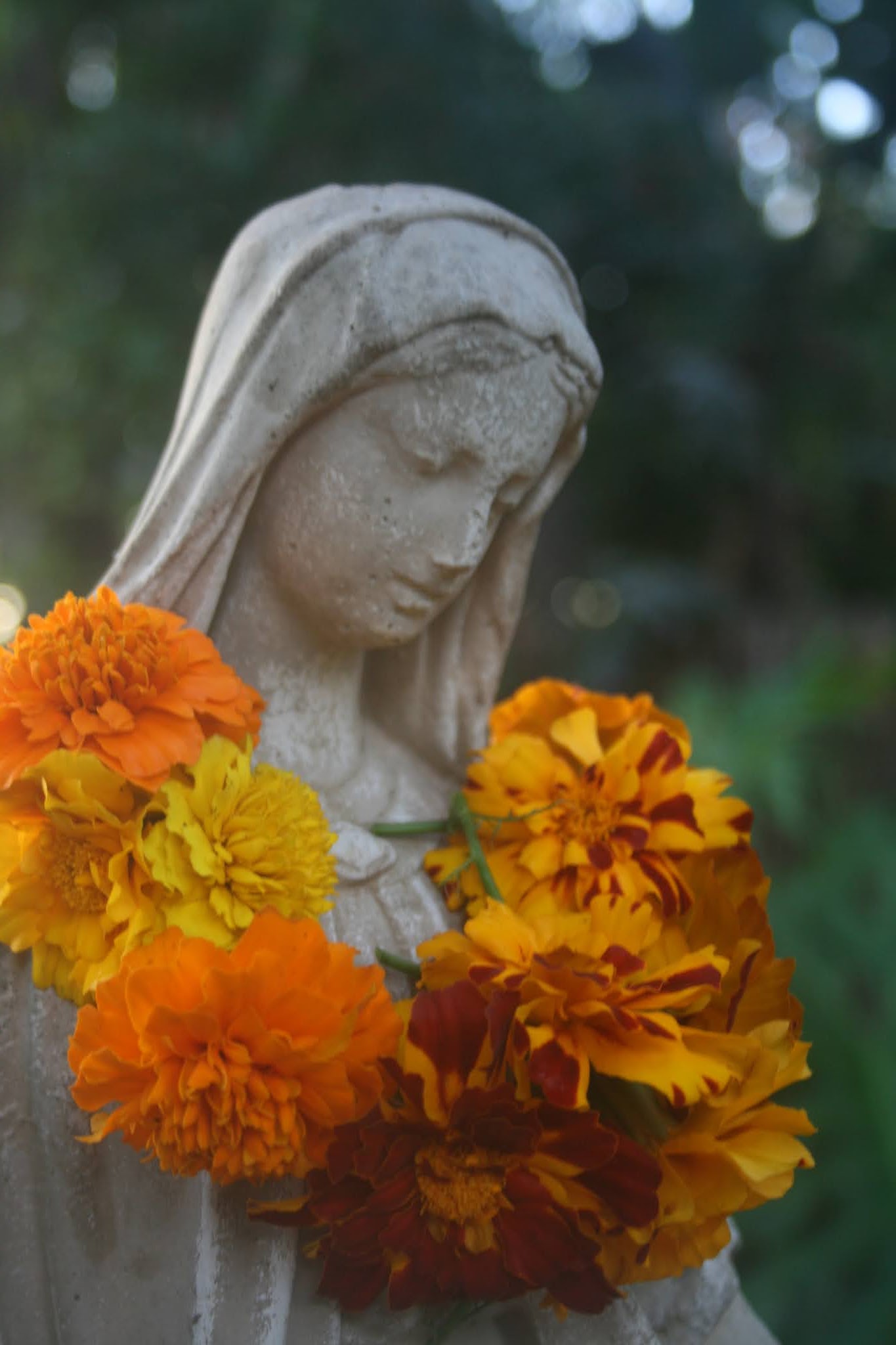 The Hearth of Mary: Preparation for Walking with Mary - December 20