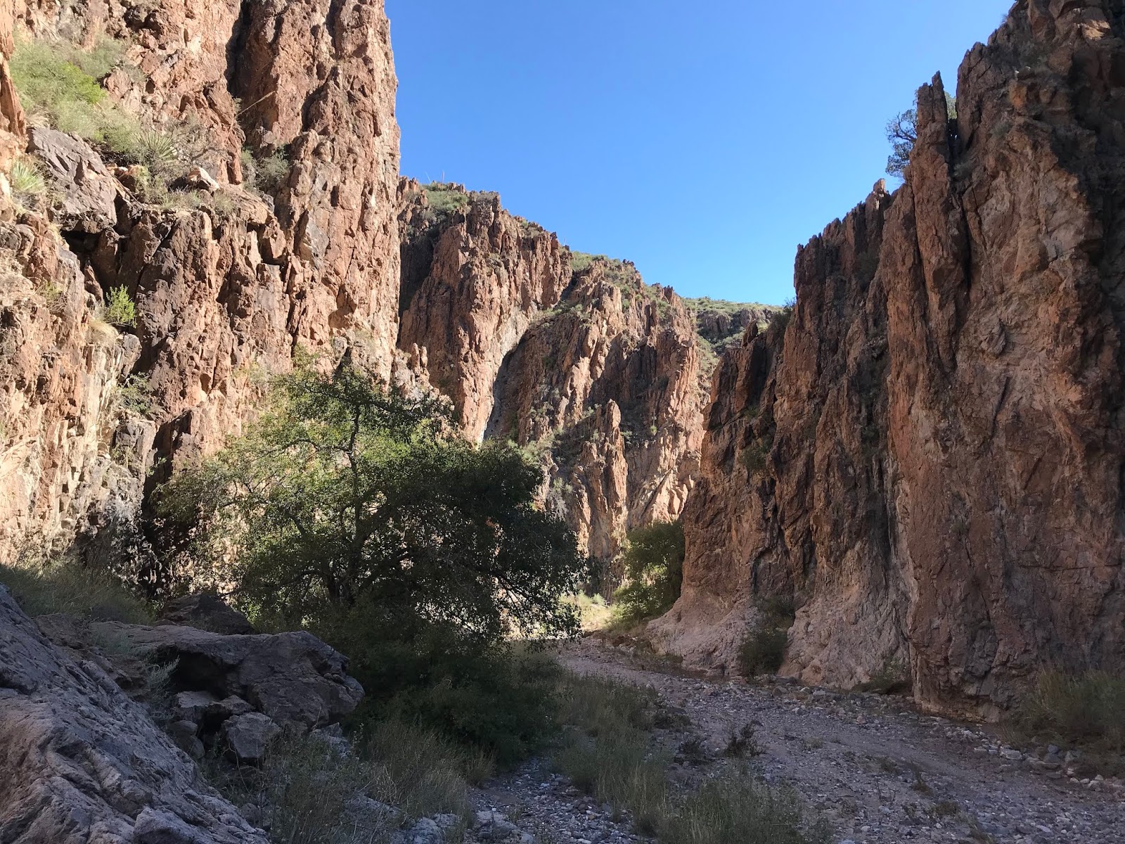 Southern New Mexico Explorer: North Fork Palomas Creek, lower box ...