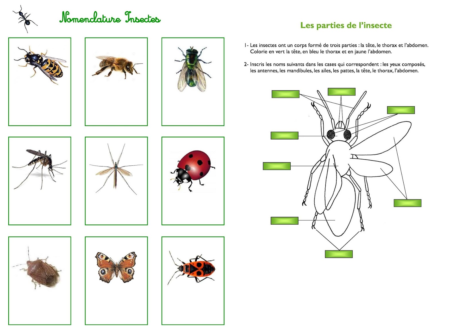 Ulis du collège Anatole France: avril 2020