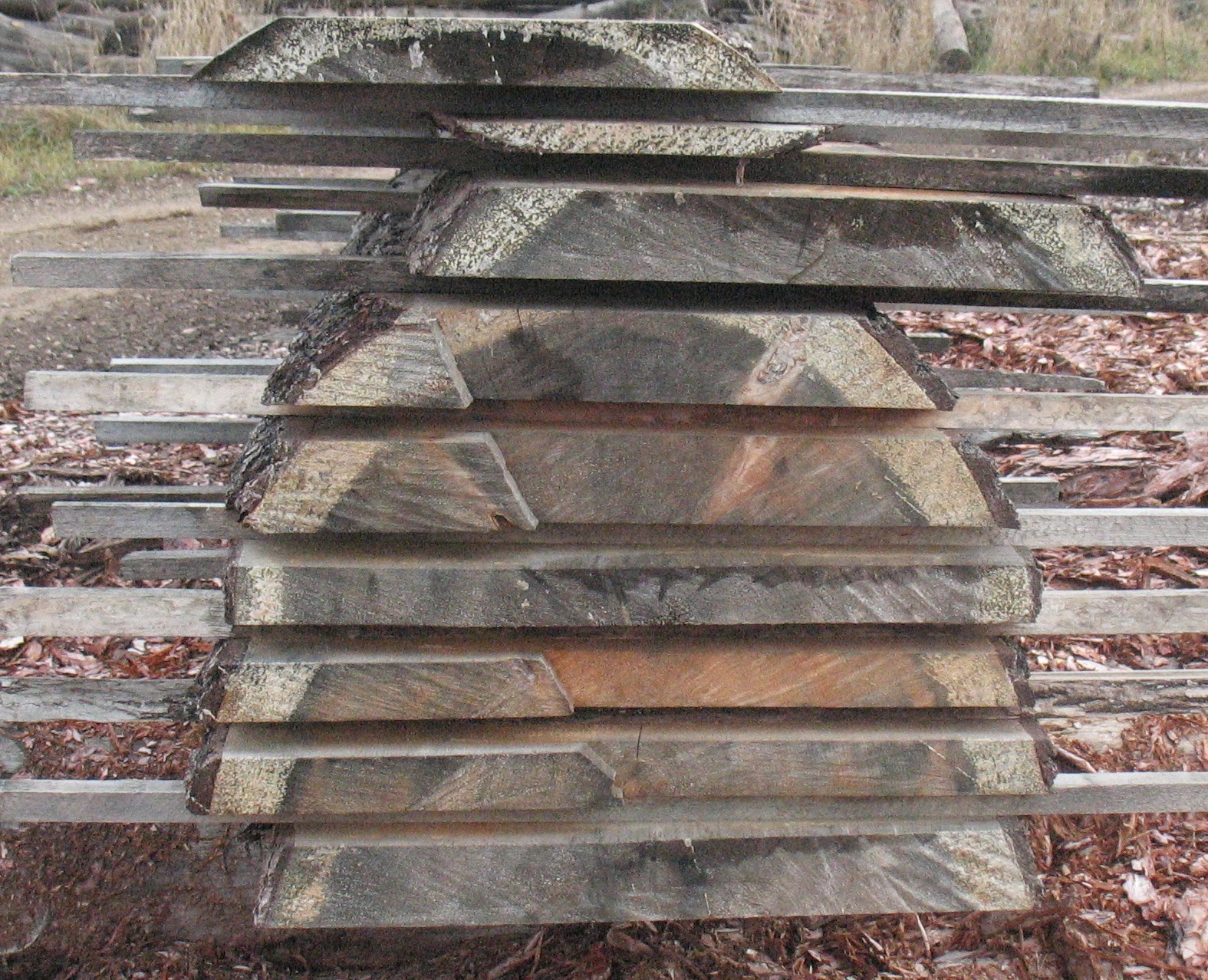 Wille Logging Lumber & Timber: Log Slices