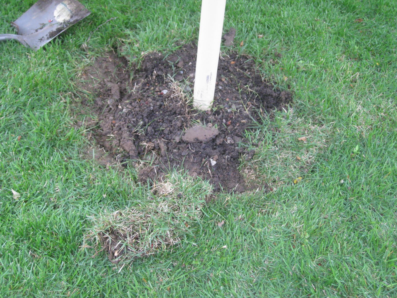 New and ...Improving?: Making our Light Pole Presentable