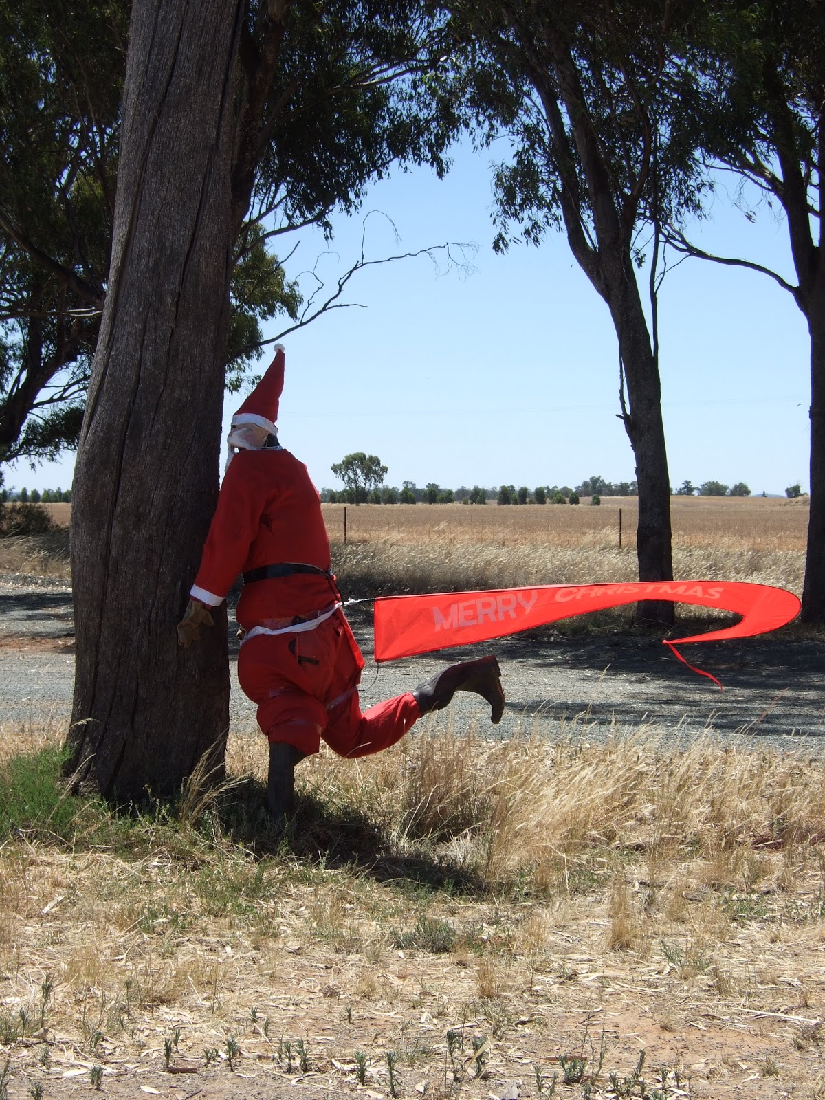 K T 's Farm Life: Christmas in the Aussie Bush!