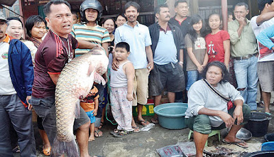 Amazing Indonesia: 15 INTERESTING FACTS ABOUT THE LAKE TOBA