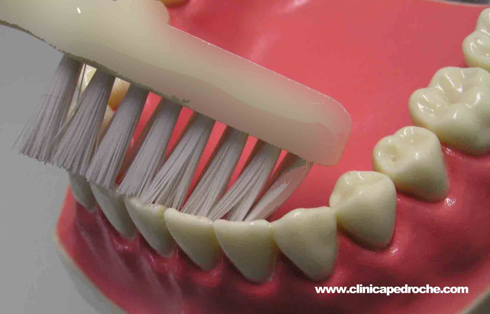 Una Boca para toda la Vida: Higiene bucal en los niños.