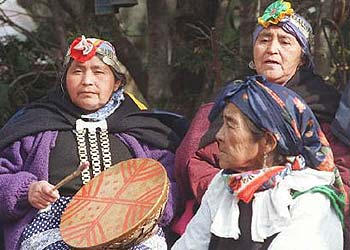 Así Surgen...: Comunidades mapuche realizan recuperación territorial ...