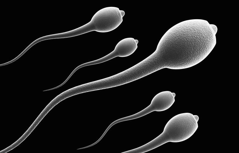 Medicina Naturale: SPERMIDINA: La sostanza che protegge il cuore e ...