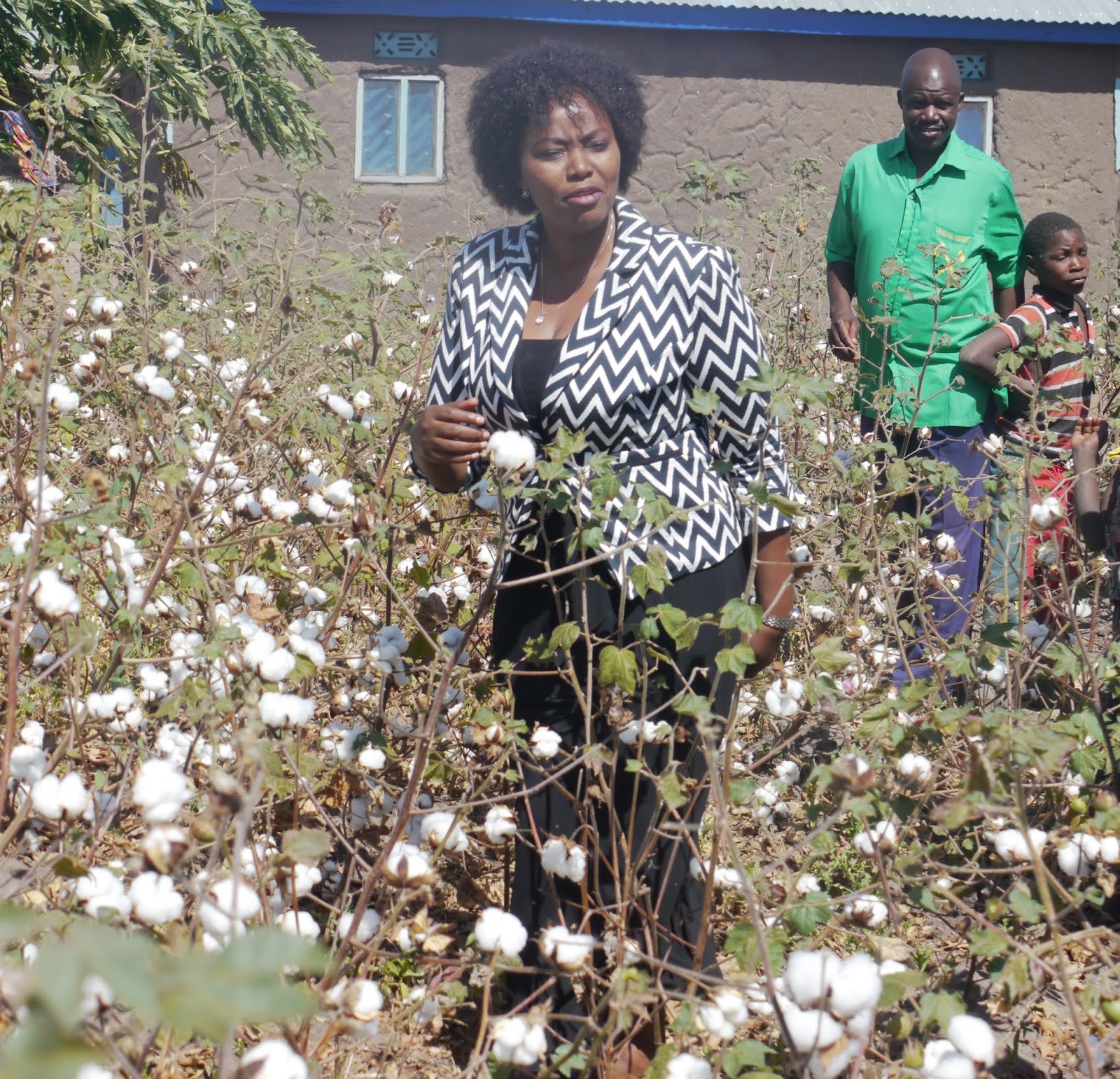 DC MATIRO AWATAKA WAKULIMA KUFUATA MASHARTI YA KILIMO CHA PAMBA ...