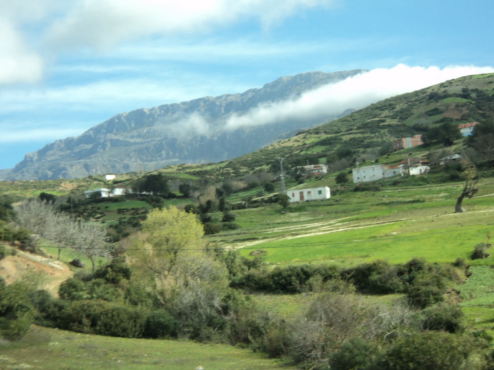 All Hail the Motherland: SUKRAN BISEF!