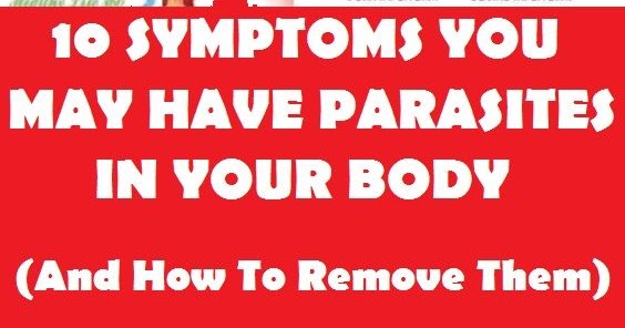 10 Symptoms You Have Parasites In Your Body And How To Remove Them ...