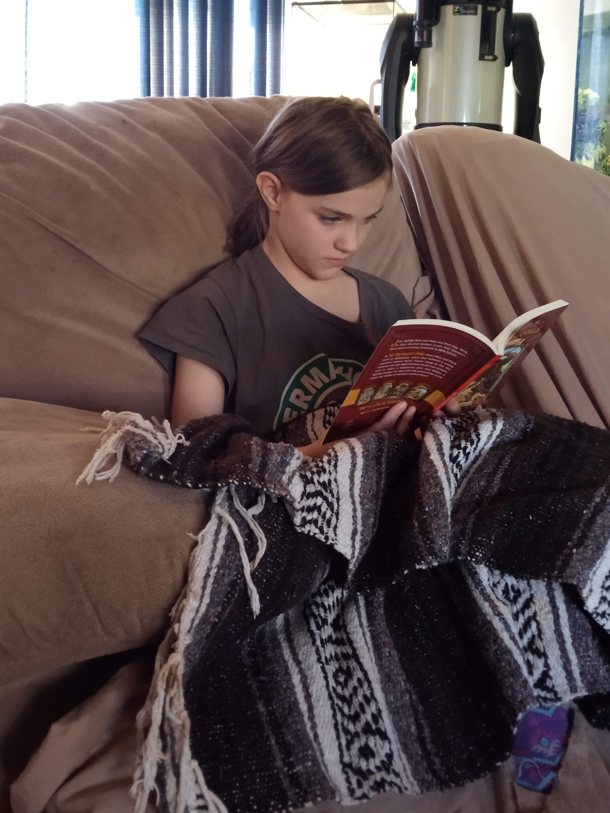 Counting Pinecones: Worthy Kids Books (A Homeschool Crew Review)