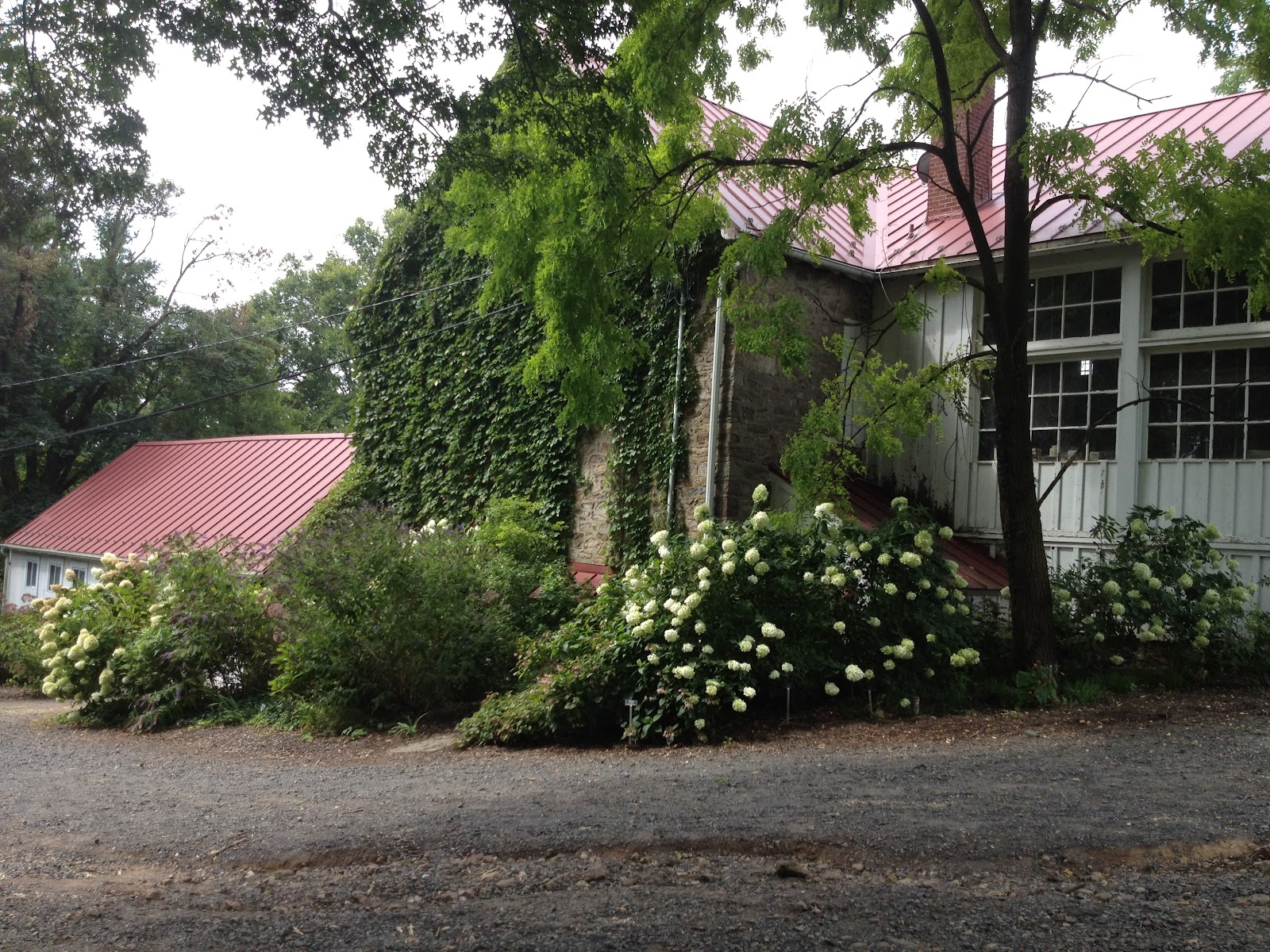 Penn State Extension Philadelphia Master Gardeners : Burpee’s Historic ...