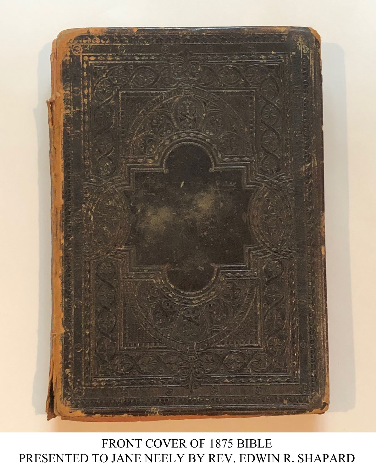 Shapard History: 2020