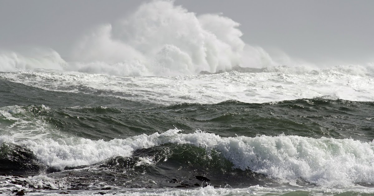 Nature Scribe: The Wild Wet West