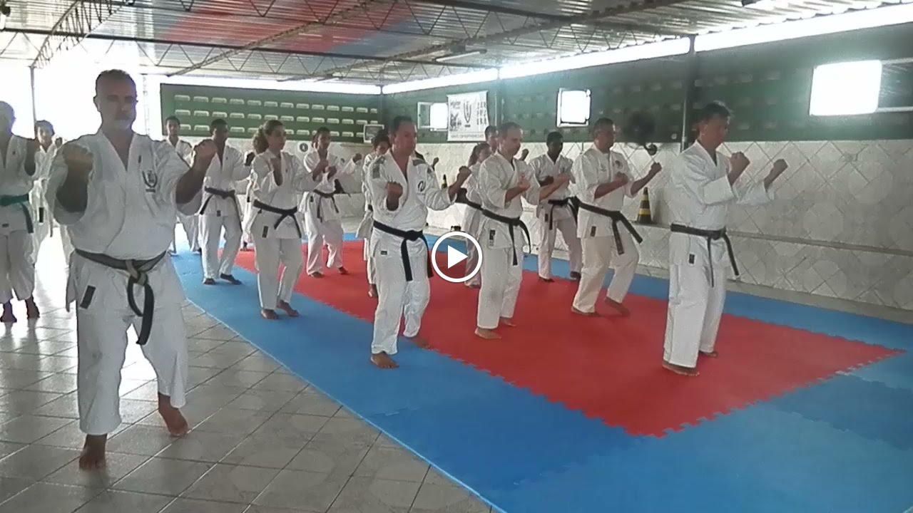 Seigokan Goju Ryu Karate do Kyokay : Saifa/SEMINÁRIO COM MESTRE TAKESHI ...
