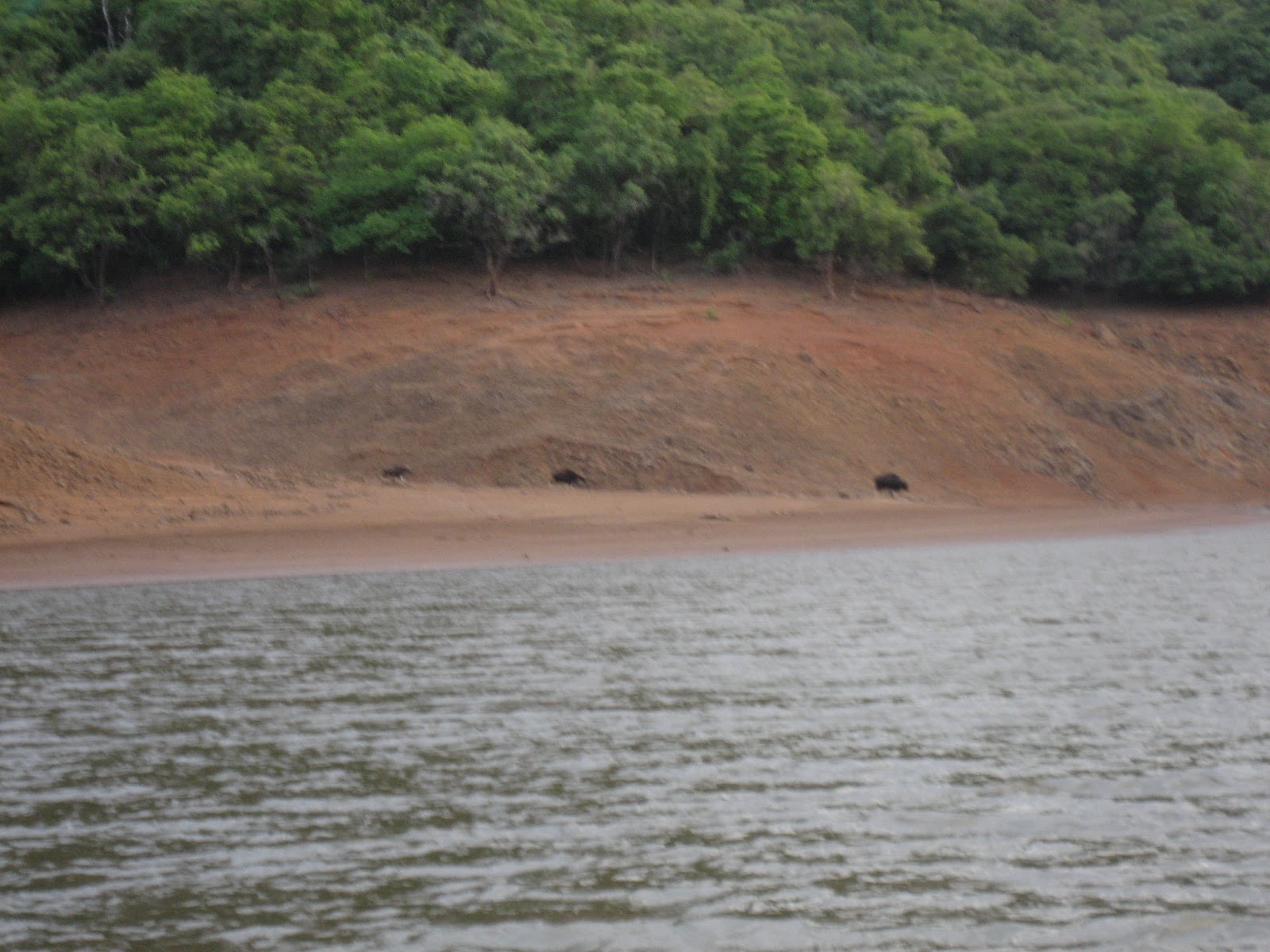 On the Edge of Sahyadris: Vasota fort the tiger's den