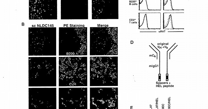 PTAB.US: abbvie, graf