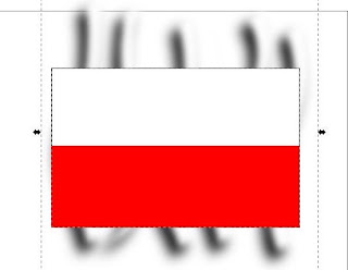 Dariusz Majewski - Blog: Inkscape - 3D Flag