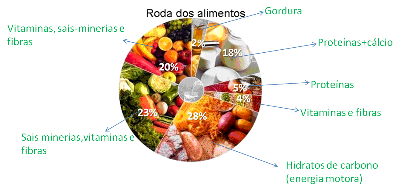 BLOGUE DE CIÊNCIAS: RODA DOS ALIMENTOS