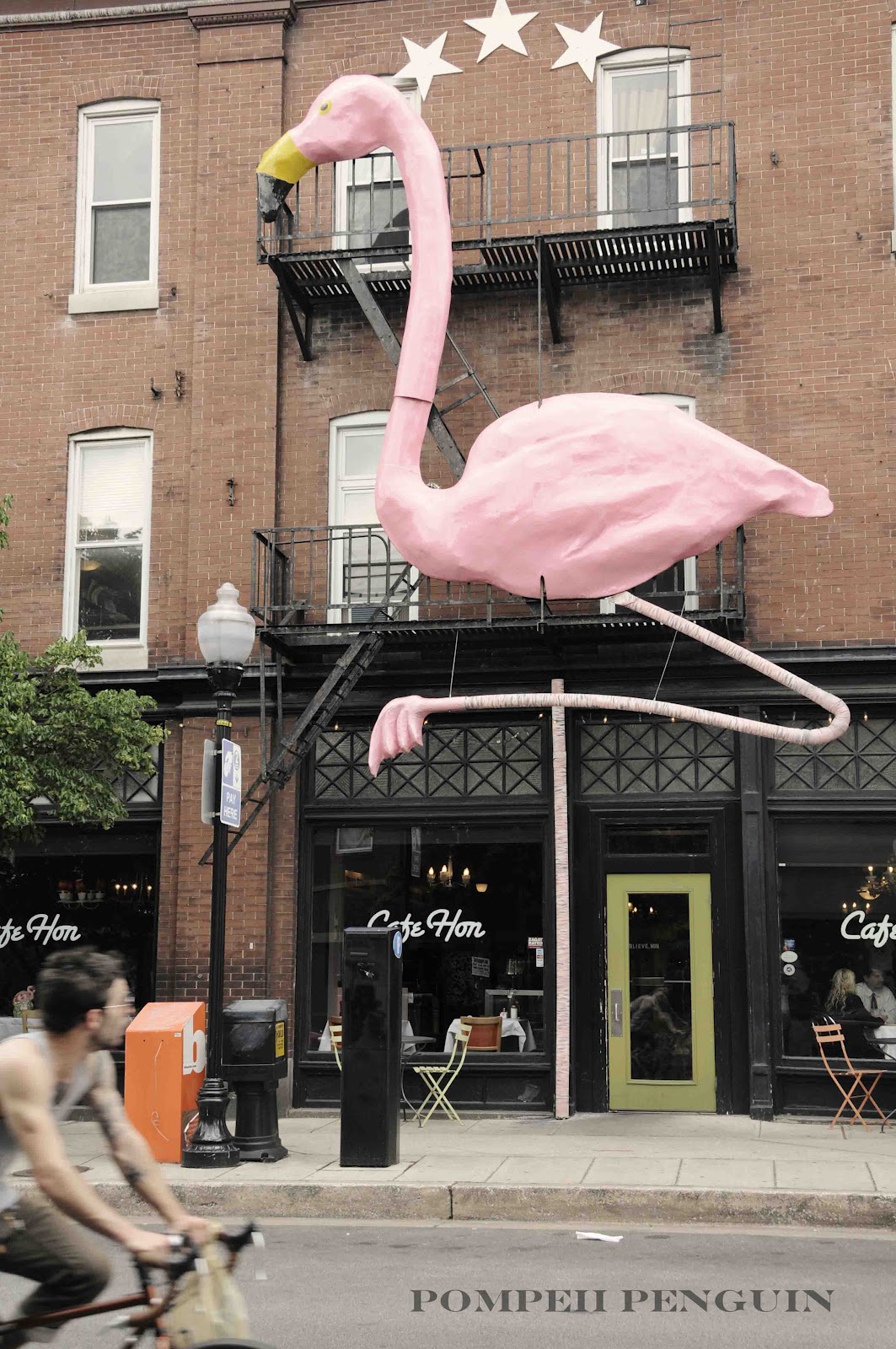 Pompeii Penguin- Attempting to Fly: Cafe Hon